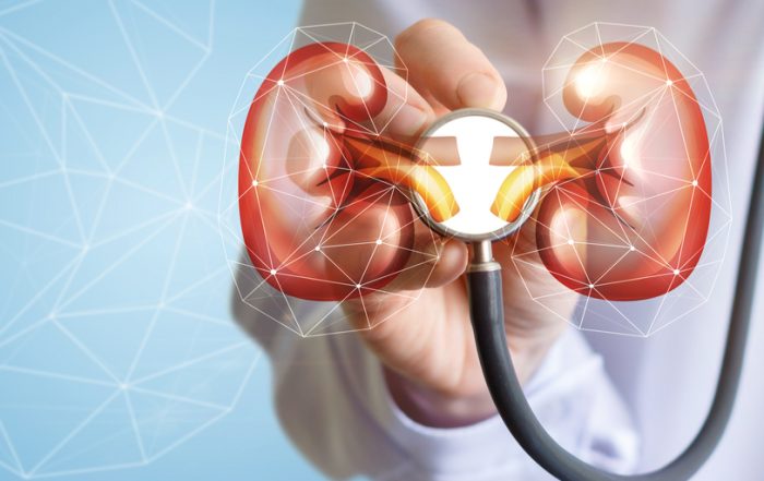Nephrology Treatments | Medithics Blog